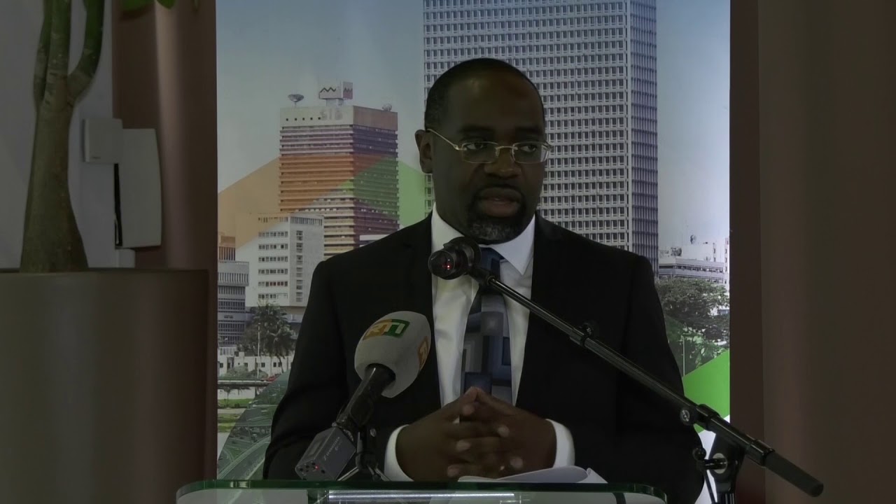 BNETD : Présentation du plan stratégique 2016-2020 - YouTube