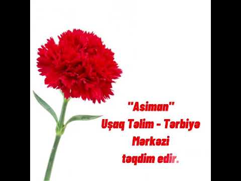 Sehidler ölmür