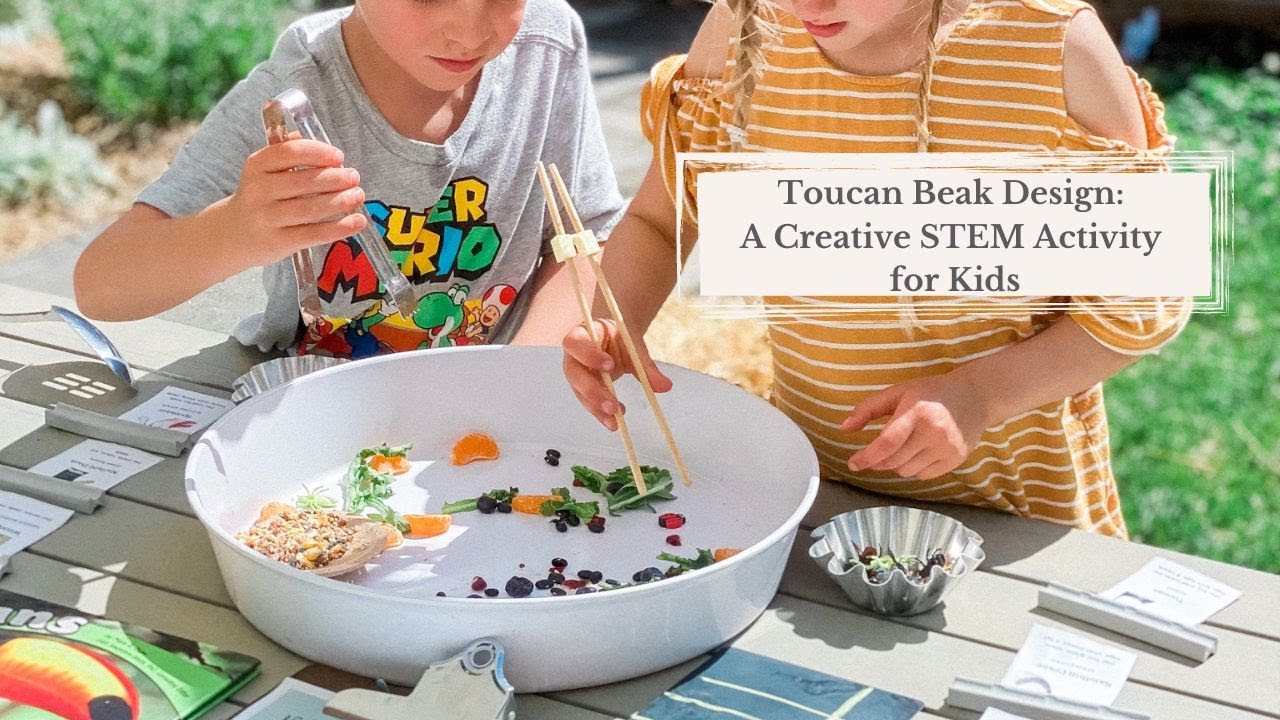 Toucan Beak Design: A Creative STEM Activity for Kids - YouTube