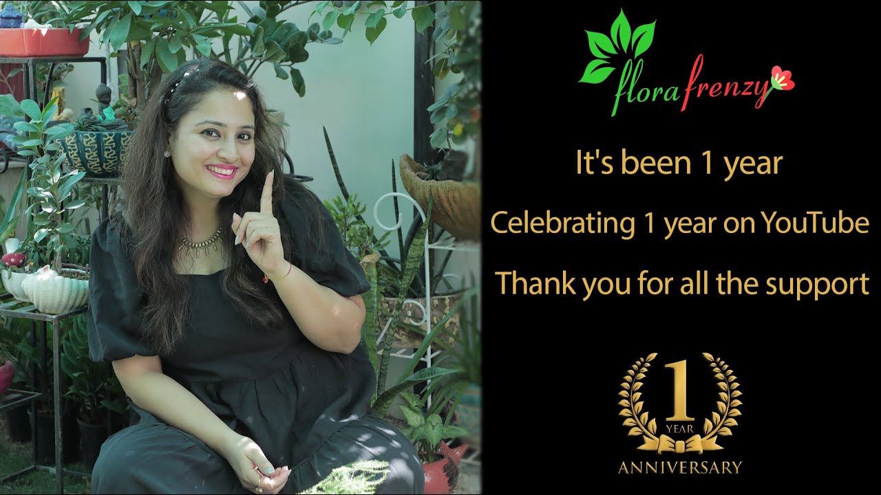 Its 1 Year Already ....let's celebrate it together. - YouTube