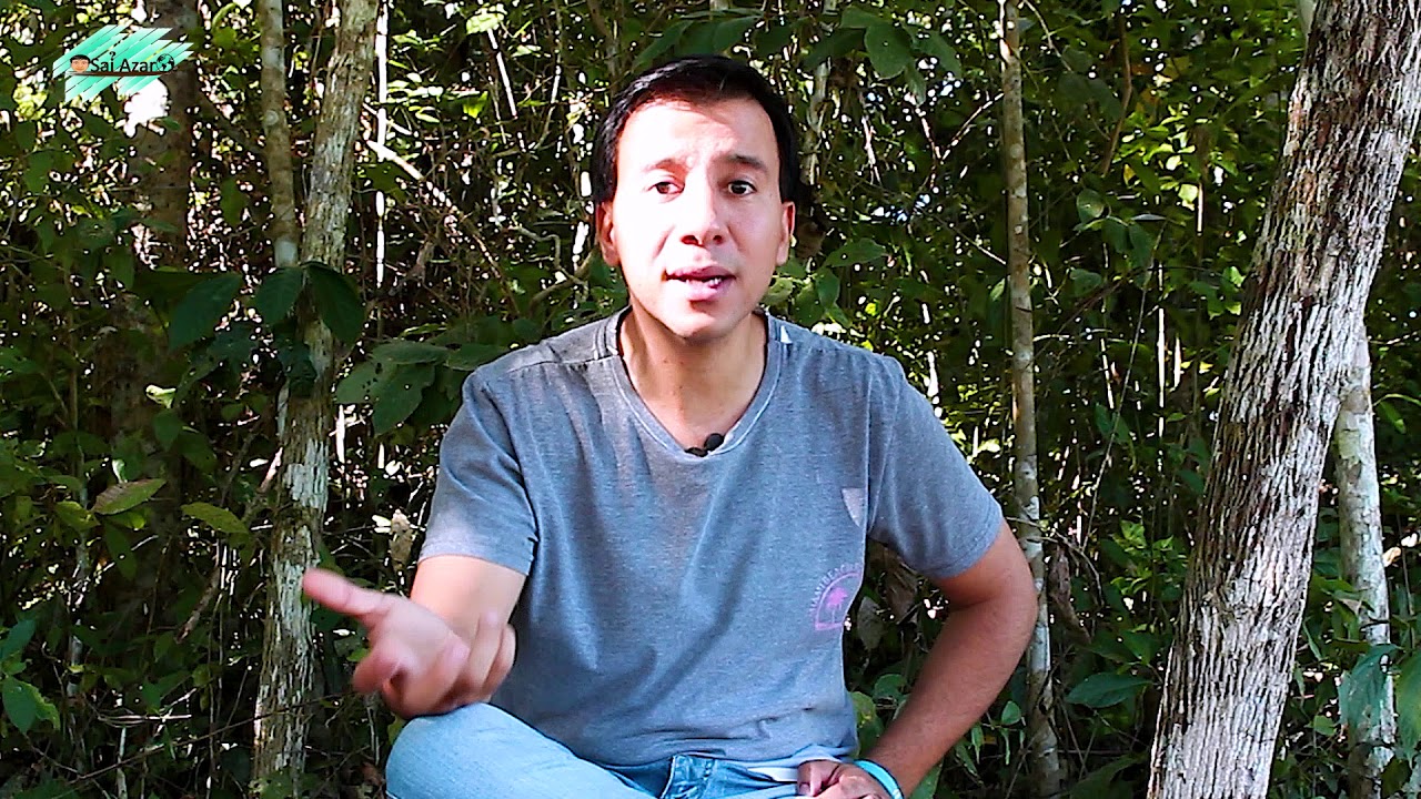 COMO GOSTAR DE PROBLEMAS | MARCELO FERNANDO - YouTube