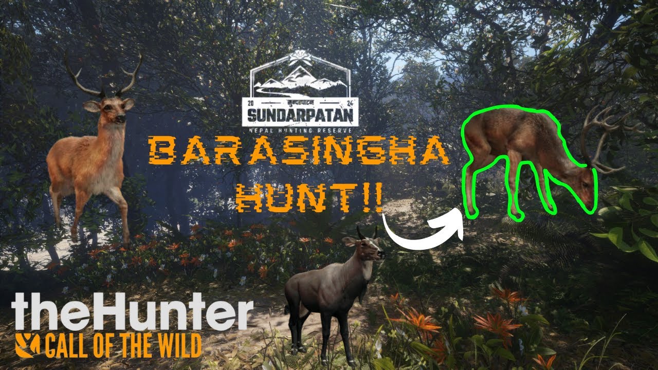I went on a BARASINGHA and NILGAI hunt on Sundarpatan Nepal in HCOTW ...