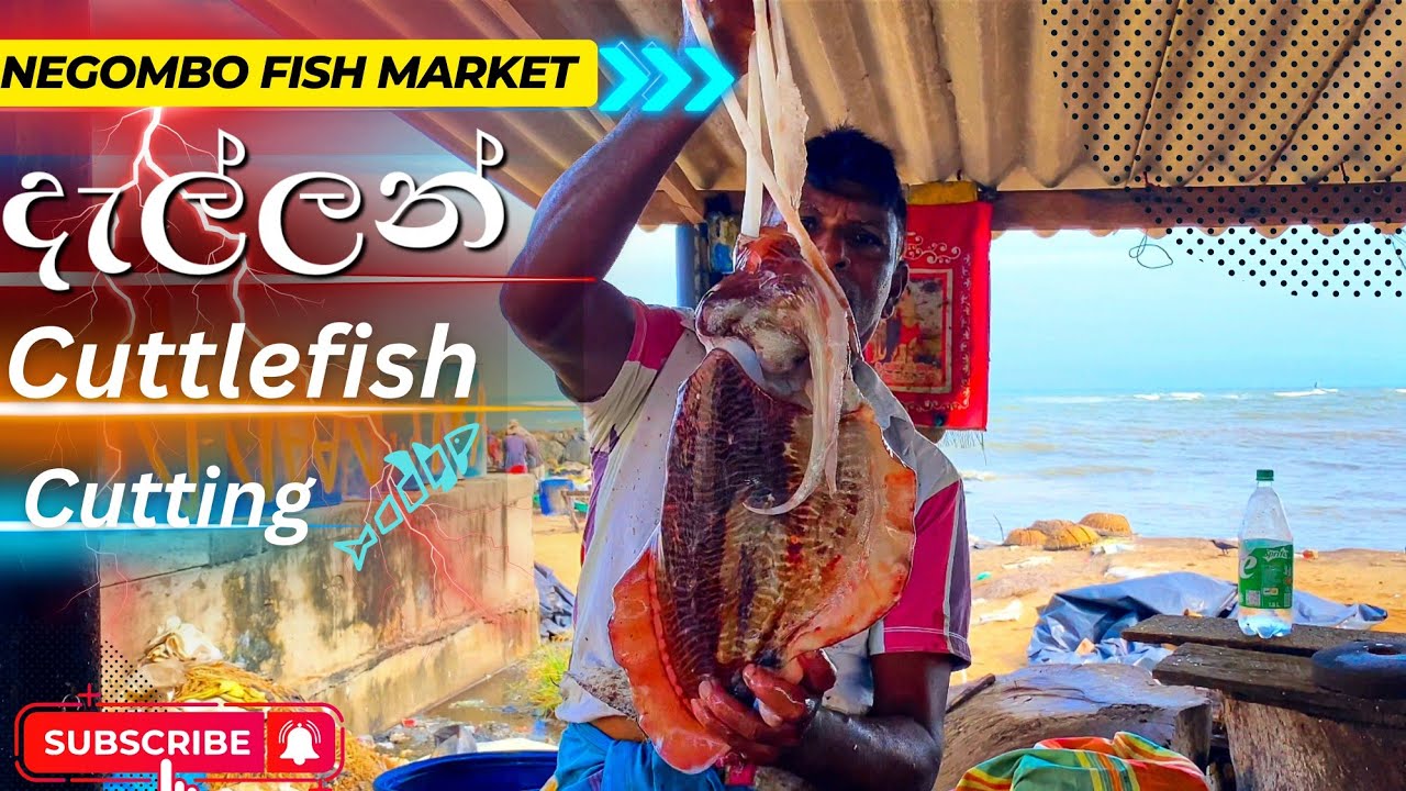 ලොකු දැල්ලන් කපන හැටි 🔥 | Cuttlefish cutting skills - YouTube