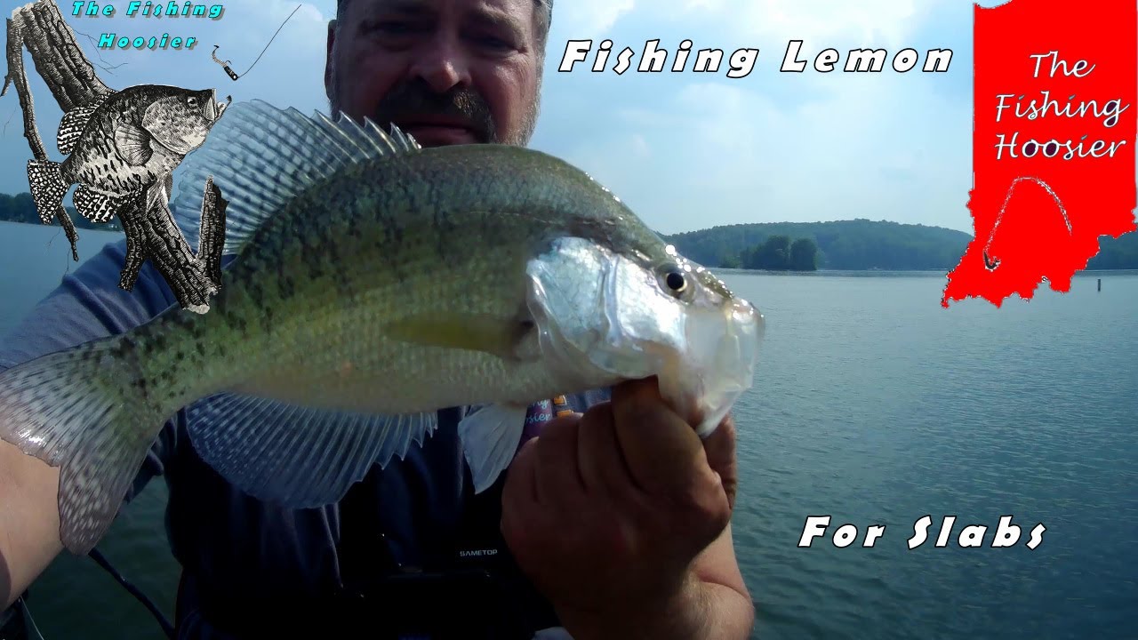Fishing Lemon June 7, 2023 #fishing #fish #fishingvideos - YouTube