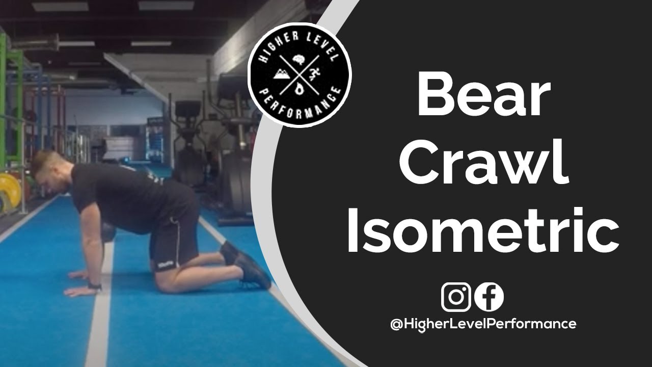Bear Crawl Isometric - YouTube
