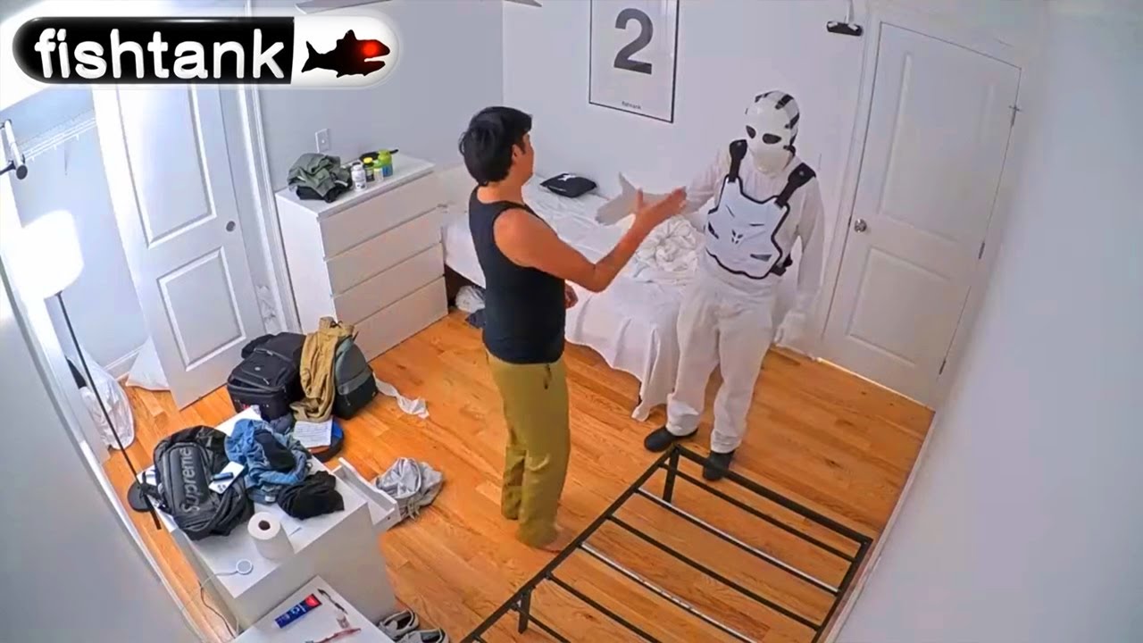 Damiel Evicted - Fishtank.live - YouTube