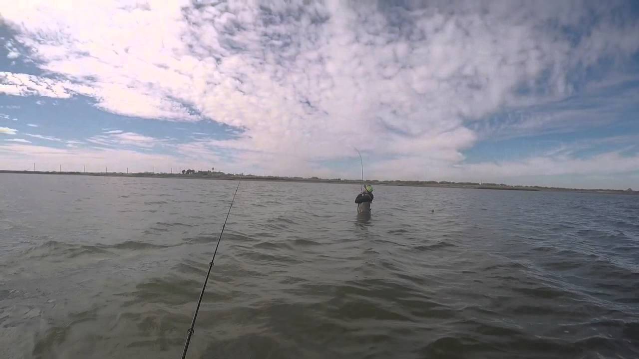 Oso Bay Reds- 1/18/15 - YouTube