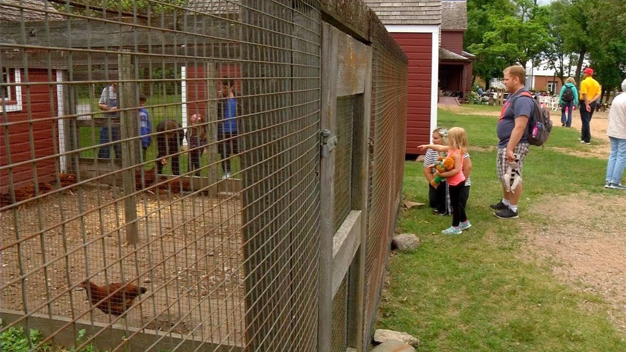 Eidem Farm Entertainment - YouTube