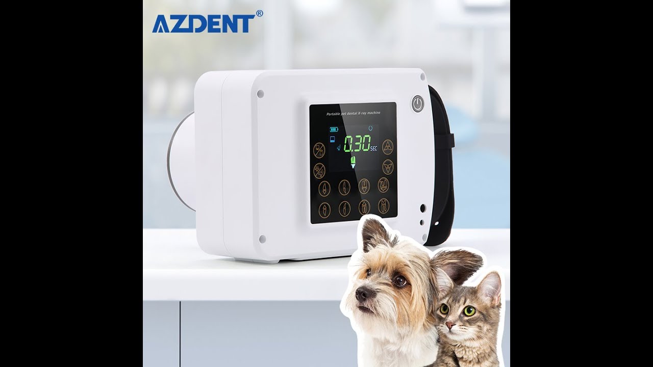 Portable Hospital dental X-ray Unit for Pet High Frequency Veterinary ...