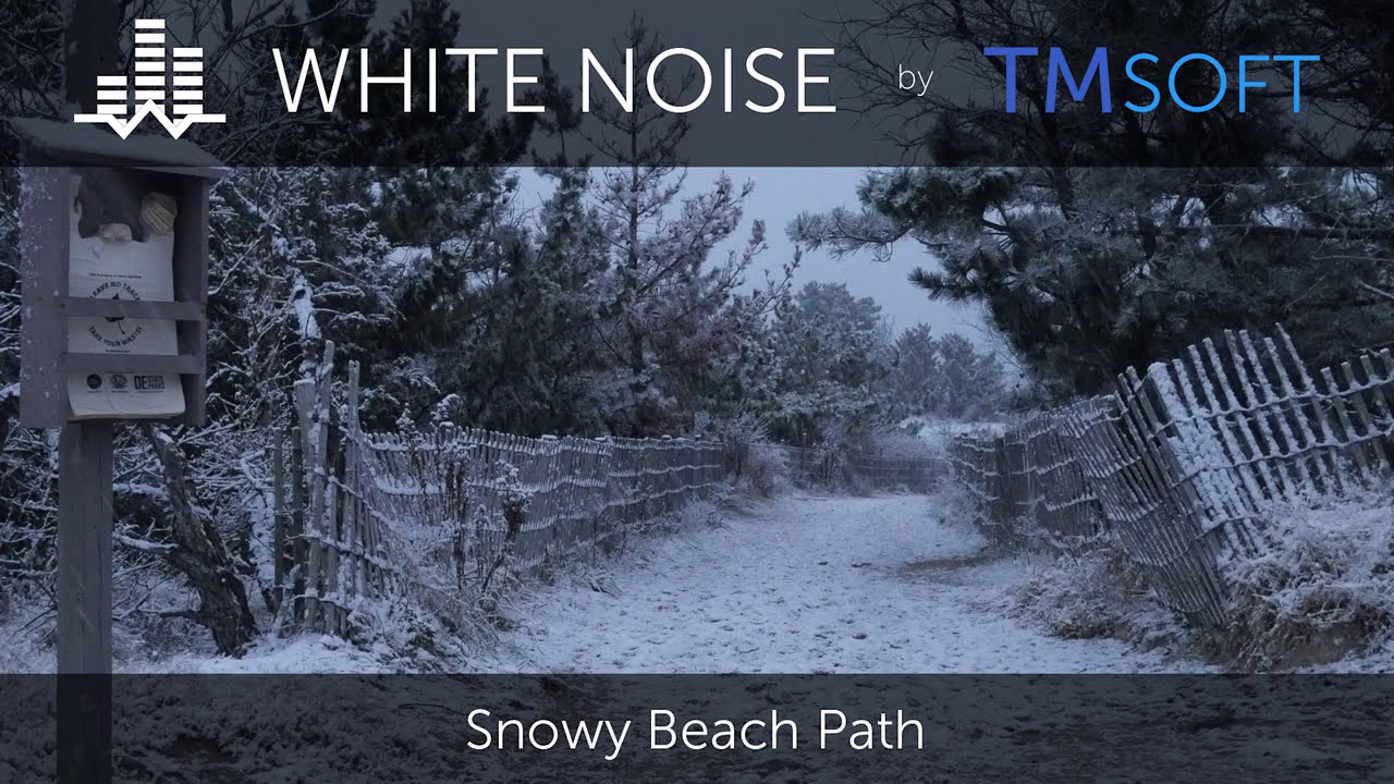 Snowy Beach Path Winter Ambience - 1hr Scenic Video in 4k - YouTube