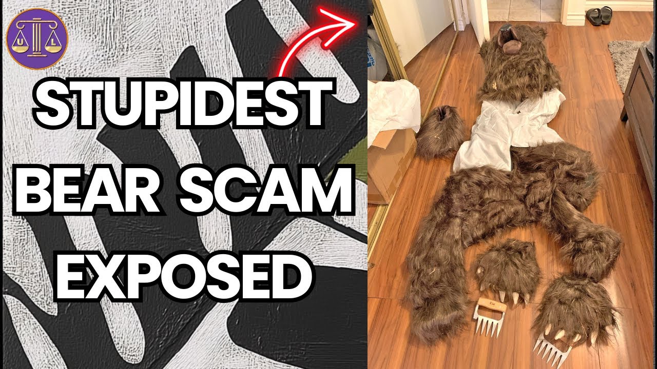 Stupidest Insurance Scam Ever - Man vs Bear, why not both? - YouTube