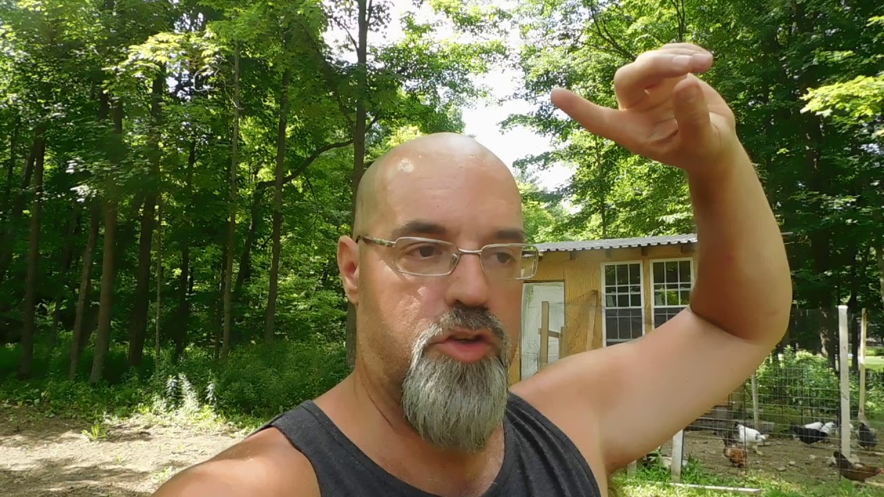 Chicken coop, chickens and gutters at the Homestead. - YouTube