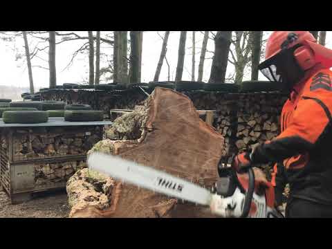 Stihl MS 361 25“ Bar