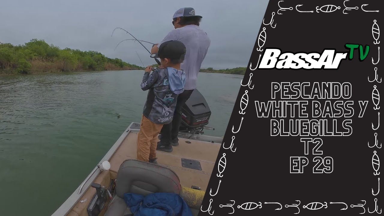 BassAr Tv T2 Ep 29. Pescando white bass y bluegills - YouTube
