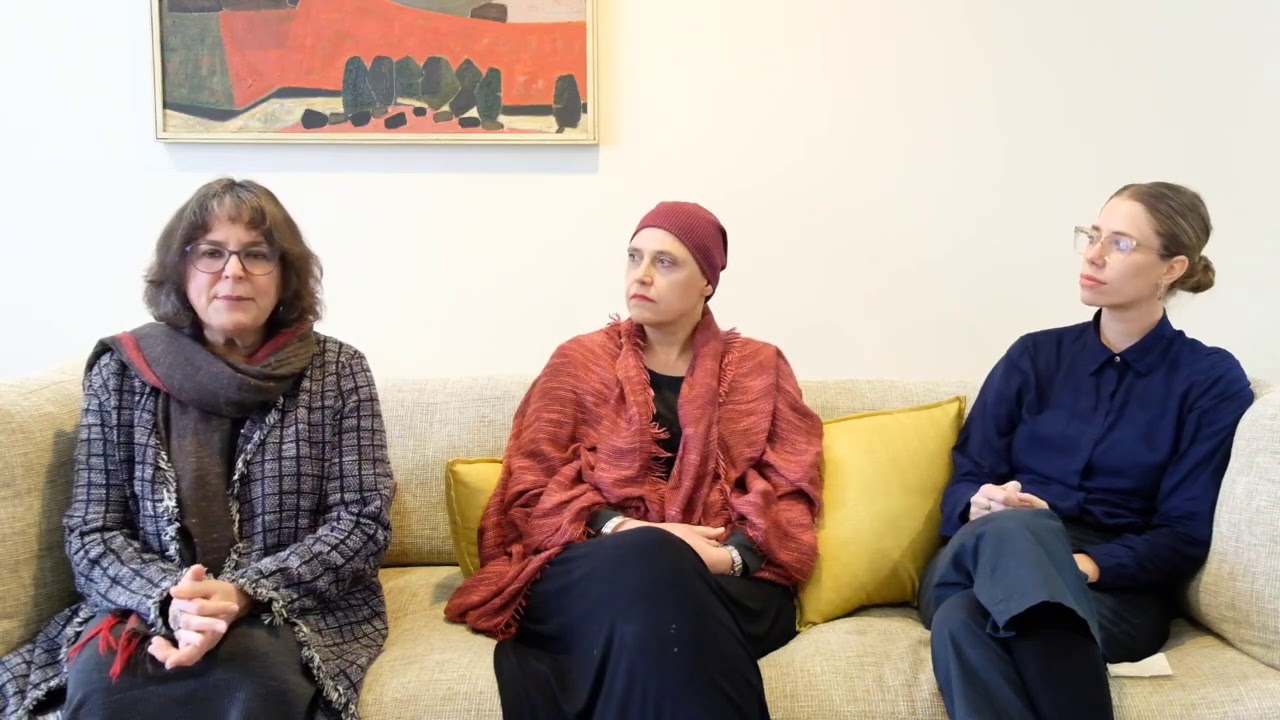 STIAS Seminar Series 2020: Amanda Gouws, Louise du Toit and Azille ...