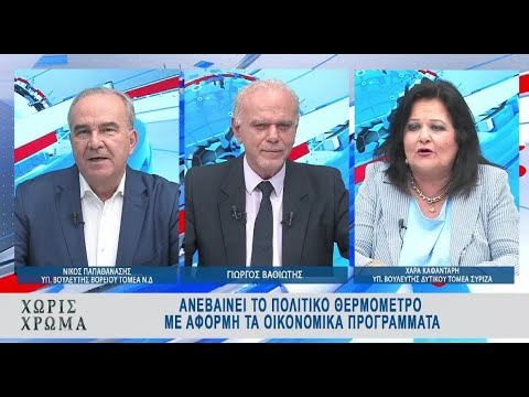 ΠΑΠΑΘΑΝΑΣΗΣ (ΝΔ), ΚΑΦΑΝΤΑΡΗ (ΣΥΡΙΖΑ):Τα οικονομικά προγράμματα στο ...