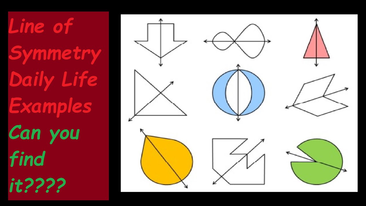 Line Of Symmetry In Real Life