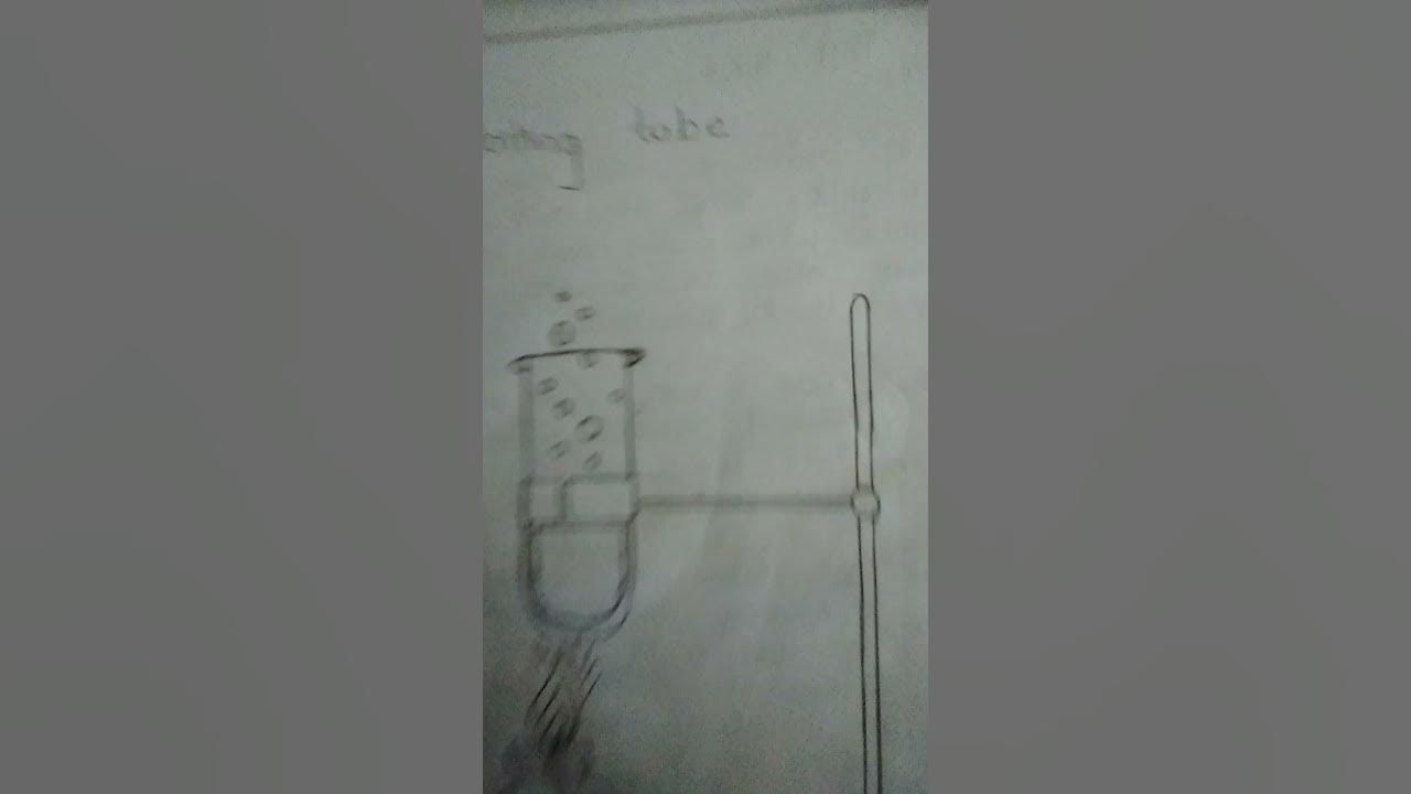 how to draw a boiling tube - YouTube