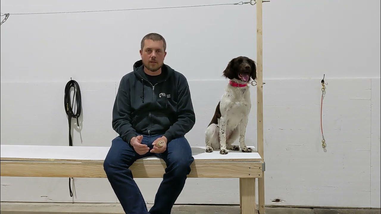 Force Fetch Lesson 2 - Mouth Placements - YouTube