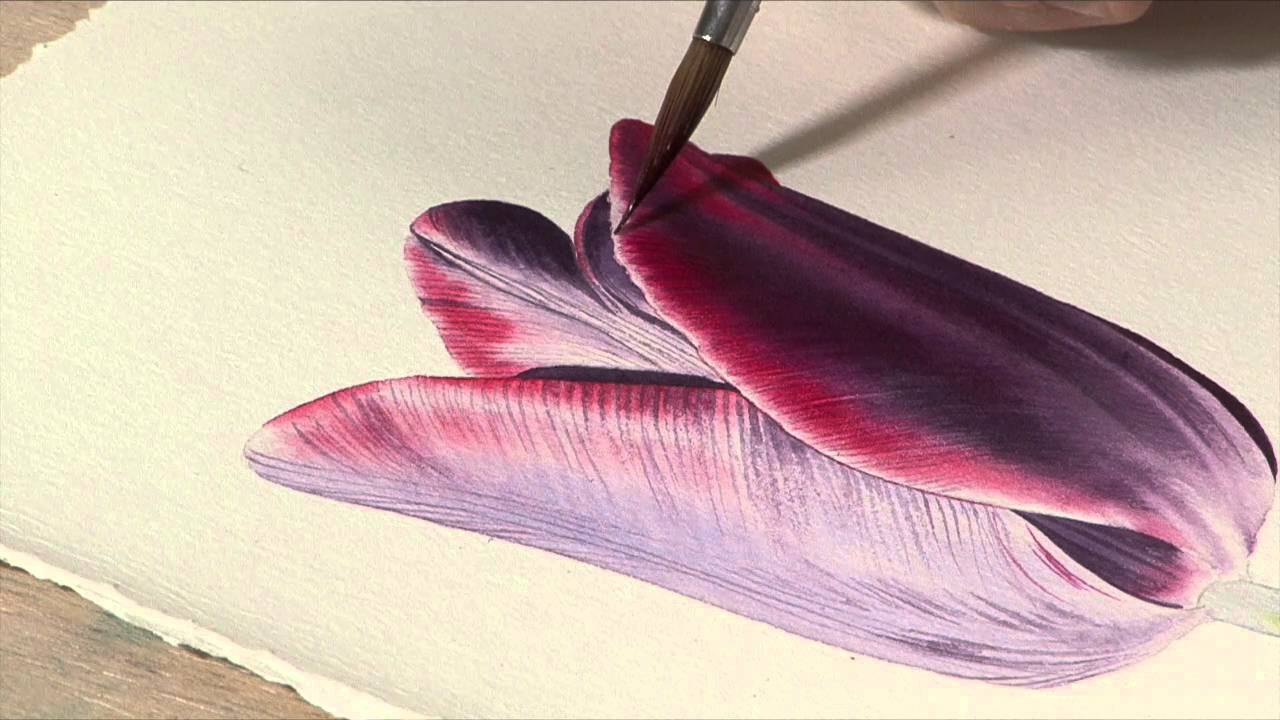 Billy Showell - learn to paint a tulip - YouTube