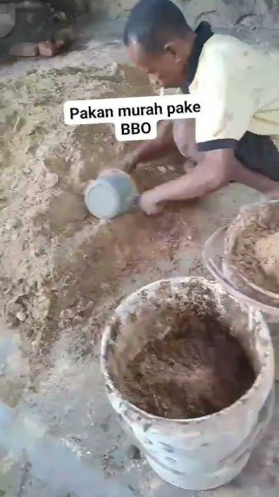 Pakan BBO #bbo - YouTube