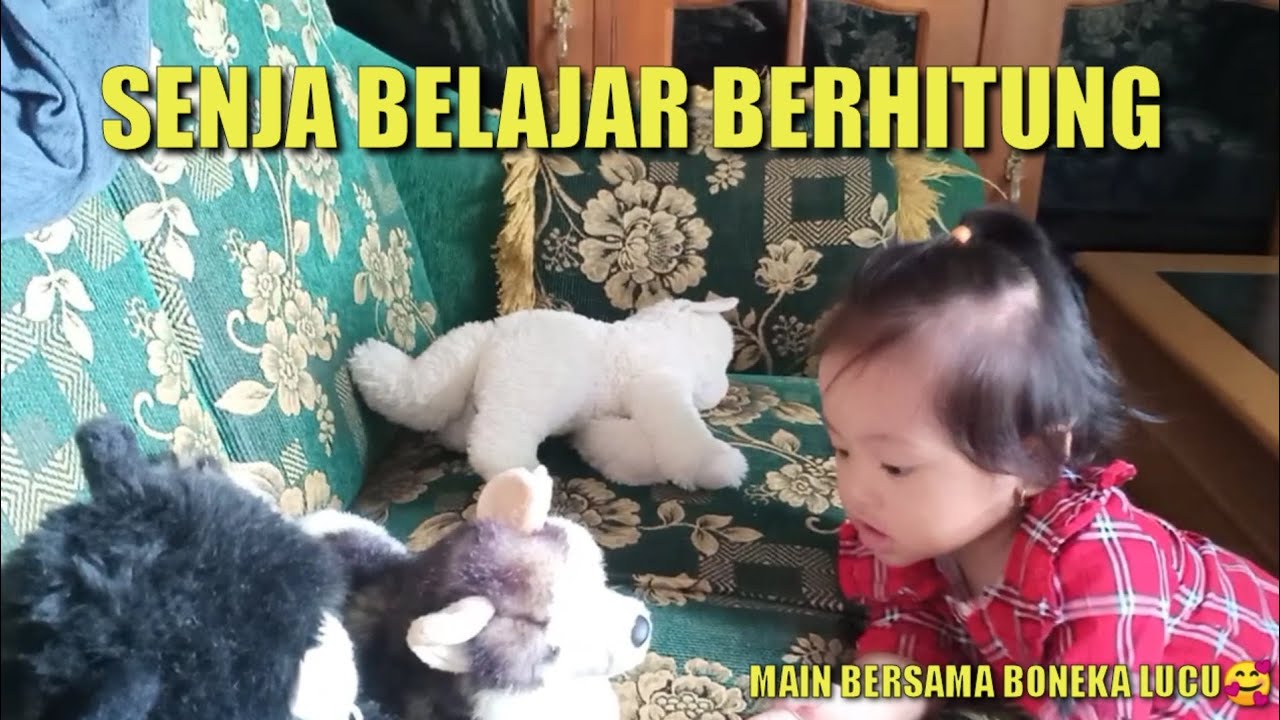 SENJA BELAJAR MENGHITUNG,BERMAIN DENGAN BONEKA LUCU - YouTube