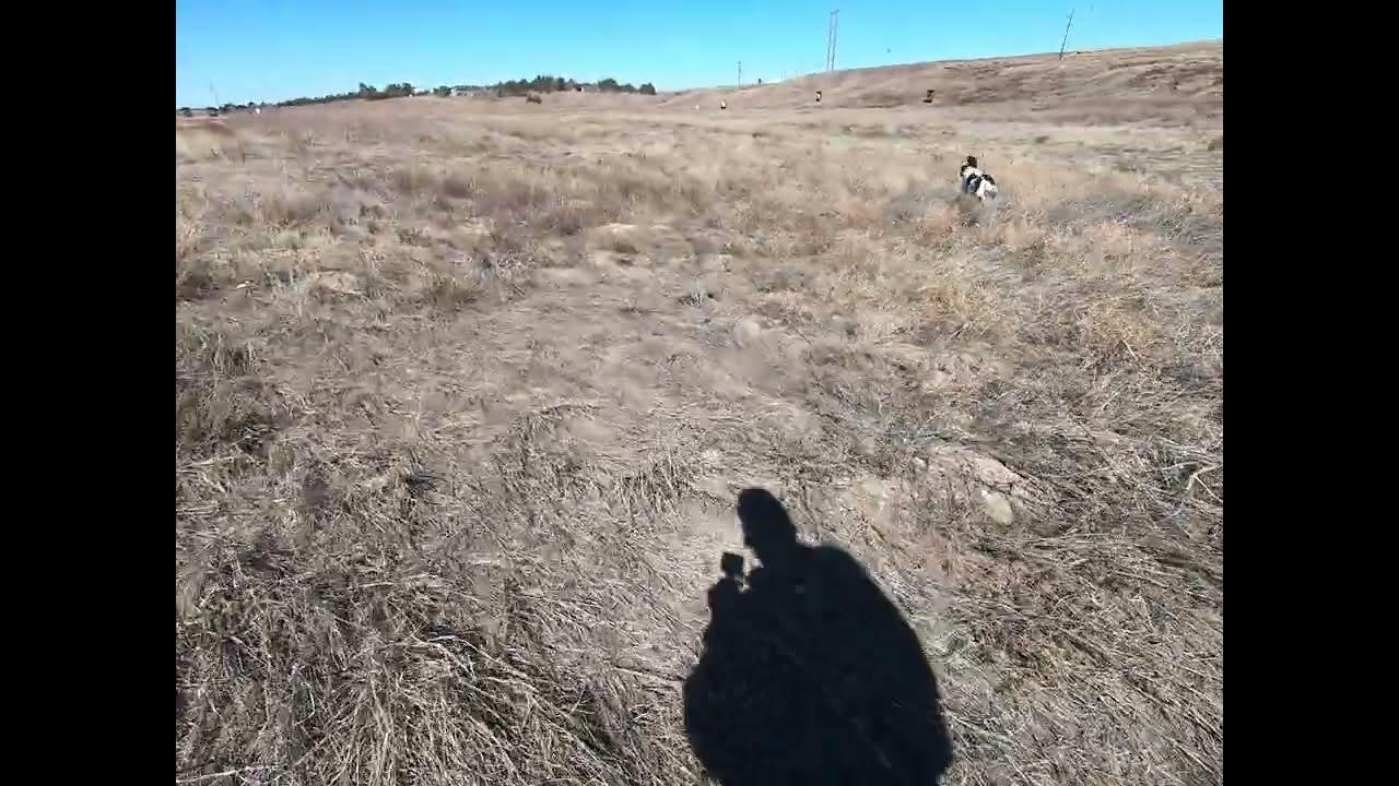 Running Ruby - YouTube