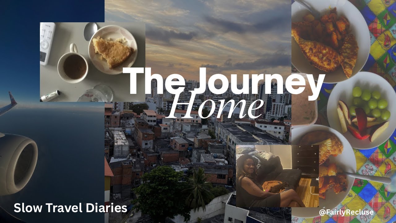 From Brazil to Florida | The Art of Beginning Again - YouTube