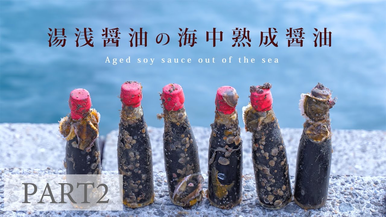 【part2】湯浅醤油の海中熟成 Undersea aged Yuasa soy sauce - YouTube