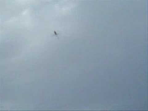 Synergy rc heli at Løken - YouTube