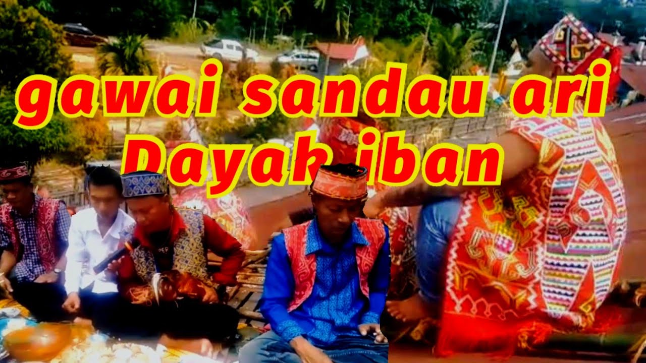 gawai Dayak iban dusun mungguk||sampi gawai sandau ari 😱||km09 - YouTube