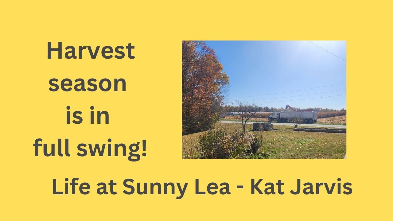 Harvest time - YouTube