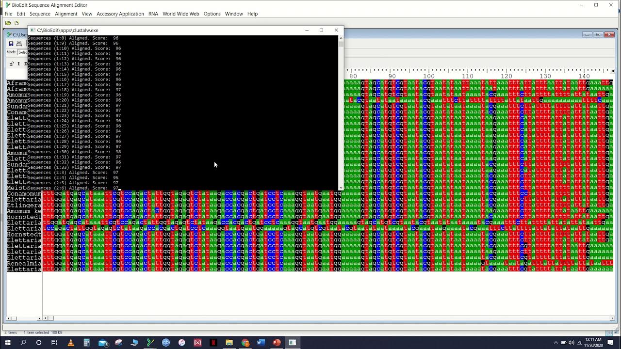 Multiple Sequence Alignment using BioEdit - YouTube