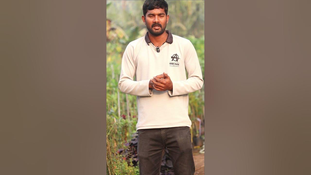 Website Launch | Ashok Chakra Nursery . Com | Kadiyam Abbai | Online Plants - YouTube