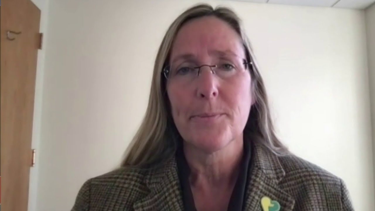 Flashpoint Interview: Mother of Sandy Hook victim talks path forward ...