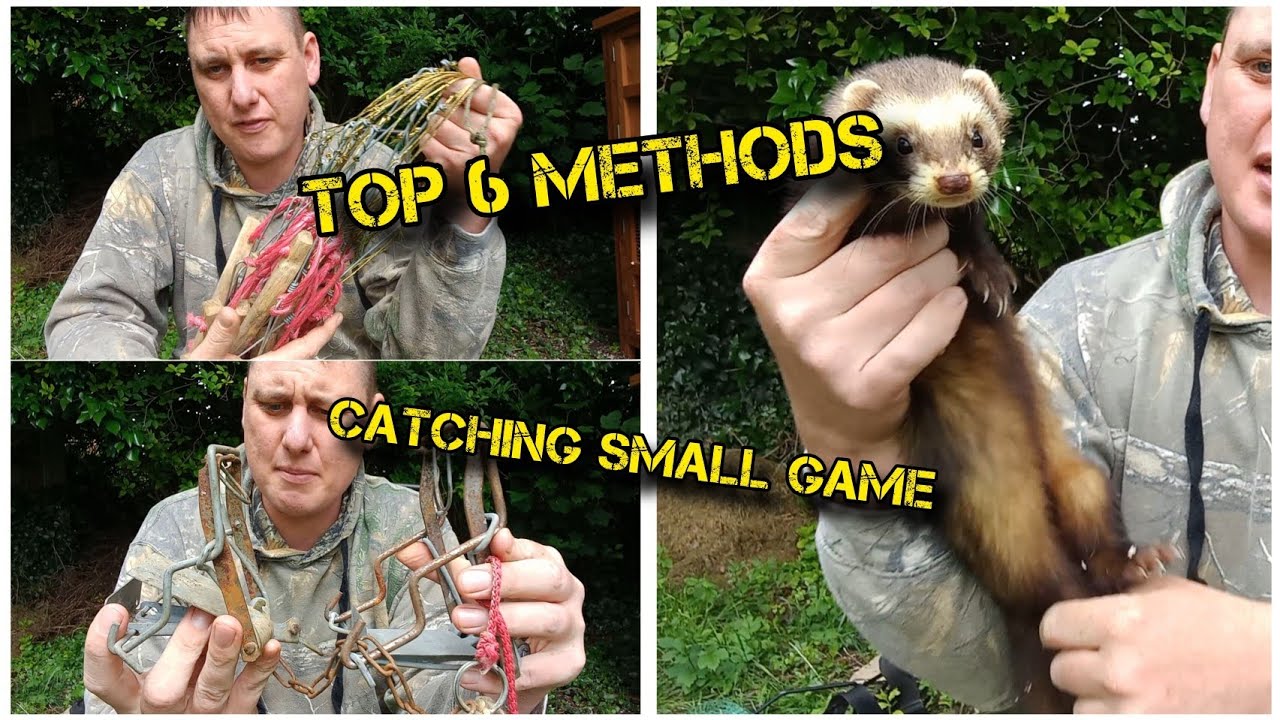 Top 6 Methods Of Catching Small Game For The Working Man - YouTube
