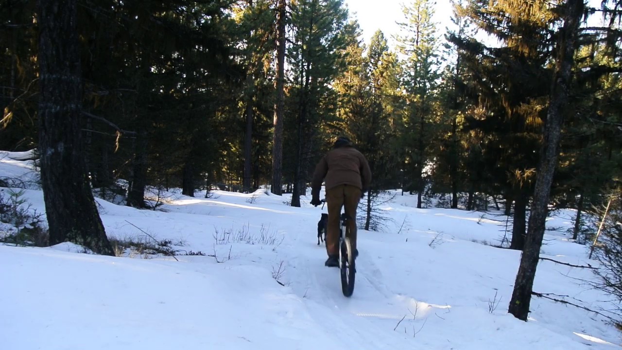 Power line trail - YouTube