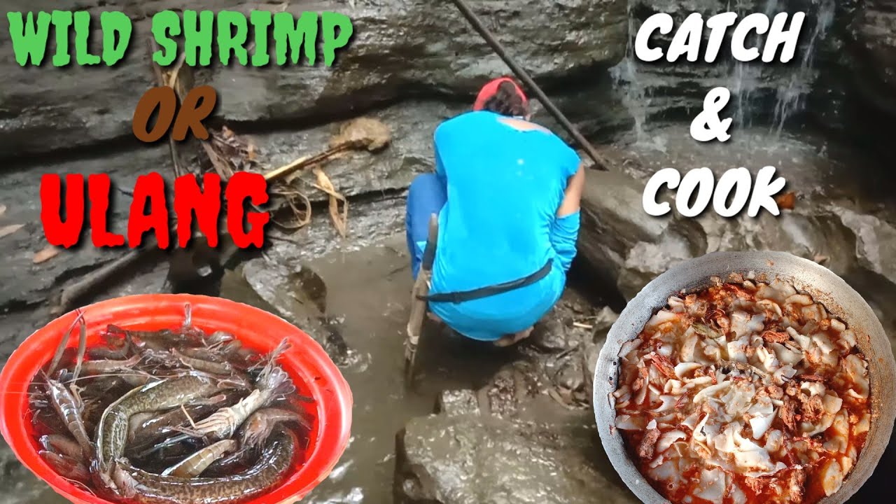 TRADITIONAL NA PANGHULI NG WILD SHRIMP OR ULANG CATCH & COOK - YouTube