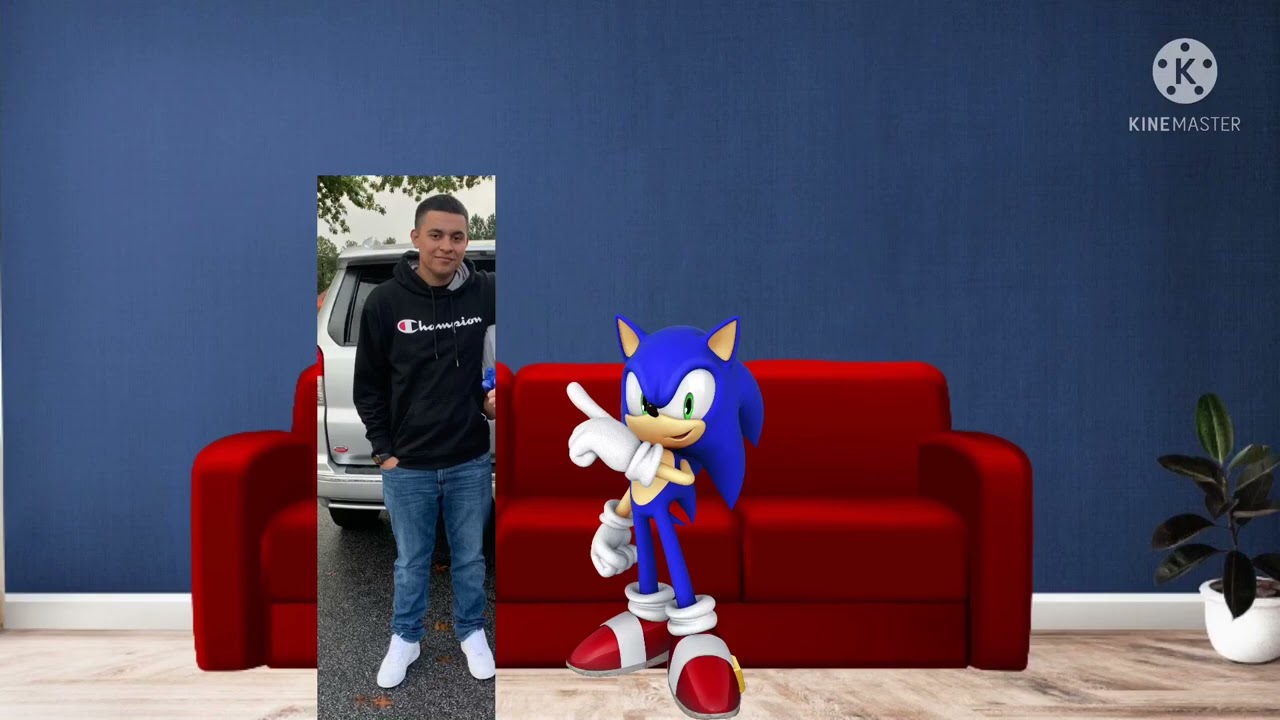 Guys Look A Birdie Meme - YouTube