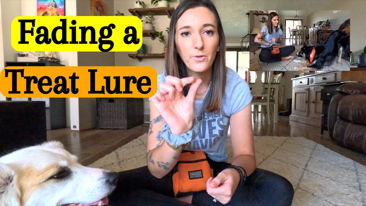 Fading a Treat Lure - YouTube