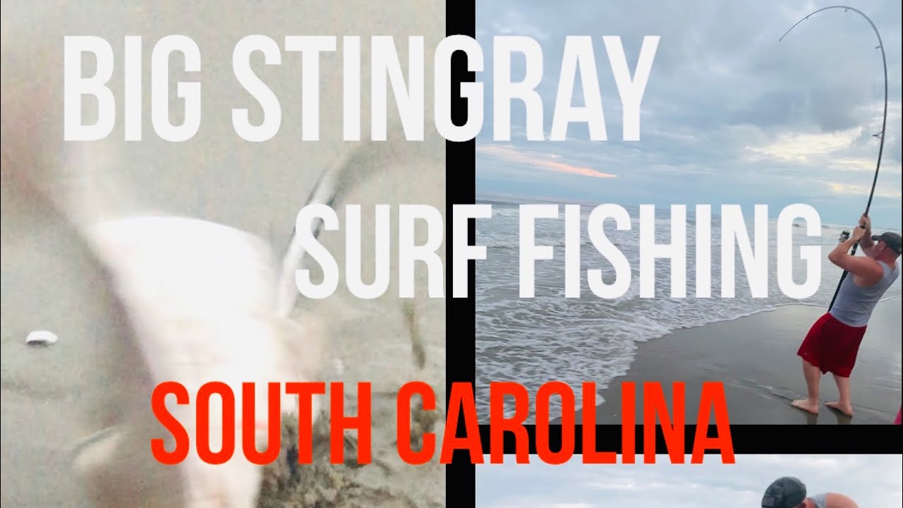 Surf Fishing, Big Stingray - catch and release. - YouTube