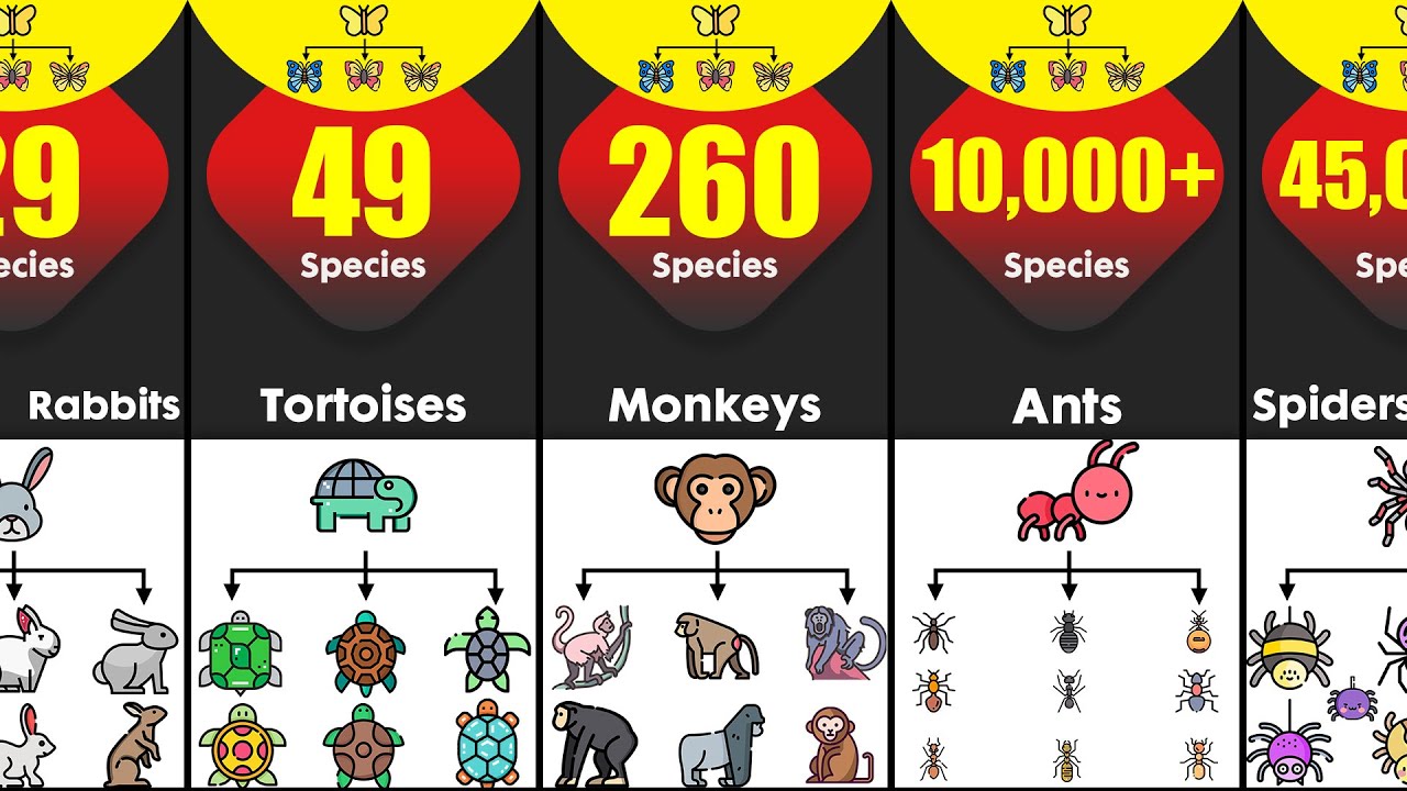 How Many Species Different Animals Have | Which Animals Have Most ...