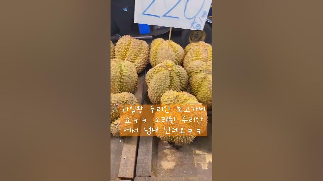 과일왕 두리안 태국 치앙마이 야시장 과일 두리안 비쌈 먹을수록땡기는맛 여행 해외여행 학습용 Shorts