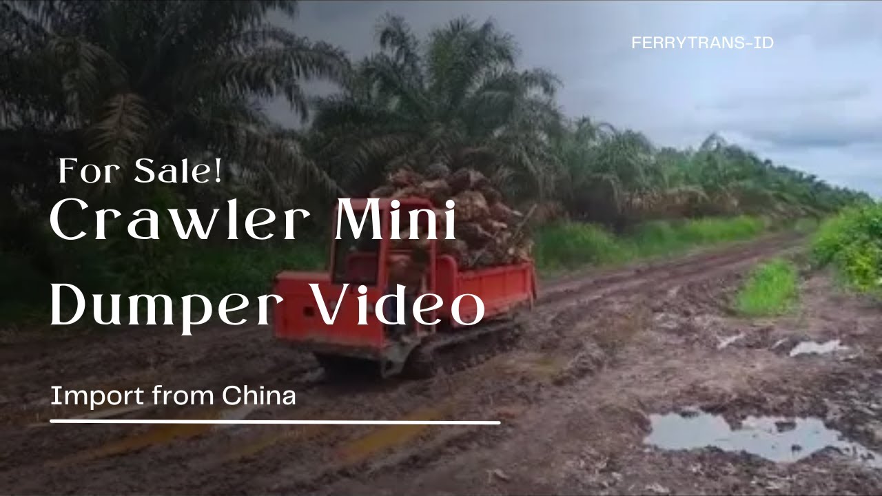 Crawler Mini Dumper Video Working Angkut Sawit PT Big Dipper Machinery ...