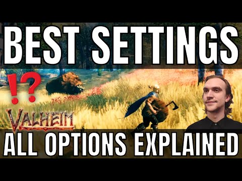 VALHEIM: Best Settings For Performance And All Options Explained!
