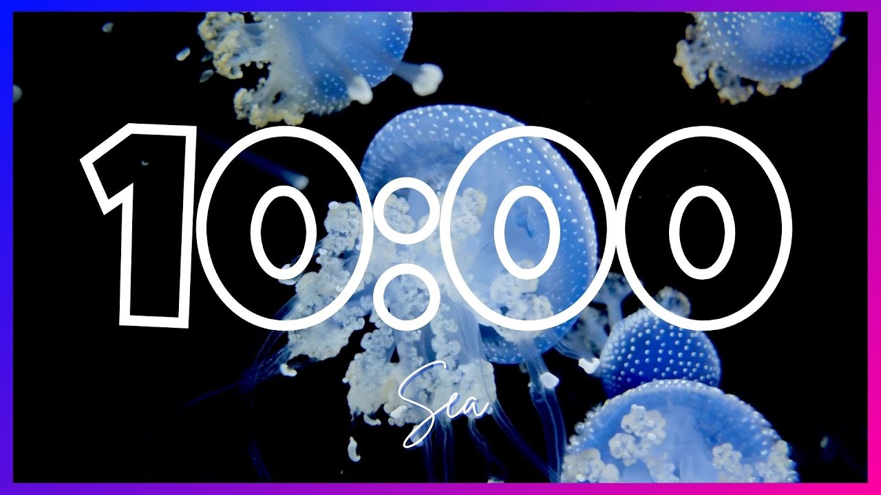 10 Minute Timer With Music For Classroom | Study - Relax - Sea | - YouTube