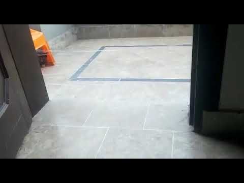 Cat hurdle challenge!Can My Cats Make the jump? - YouTube