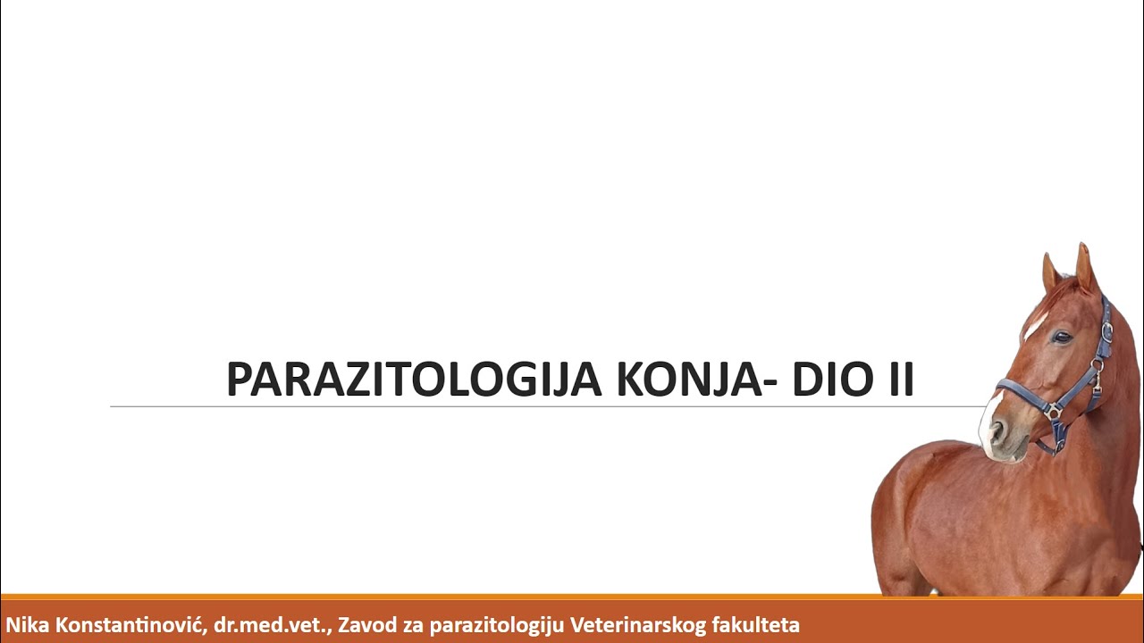 Parazitologija konja II dio - dr. vet. med. Nika Konstantinović - YouTube