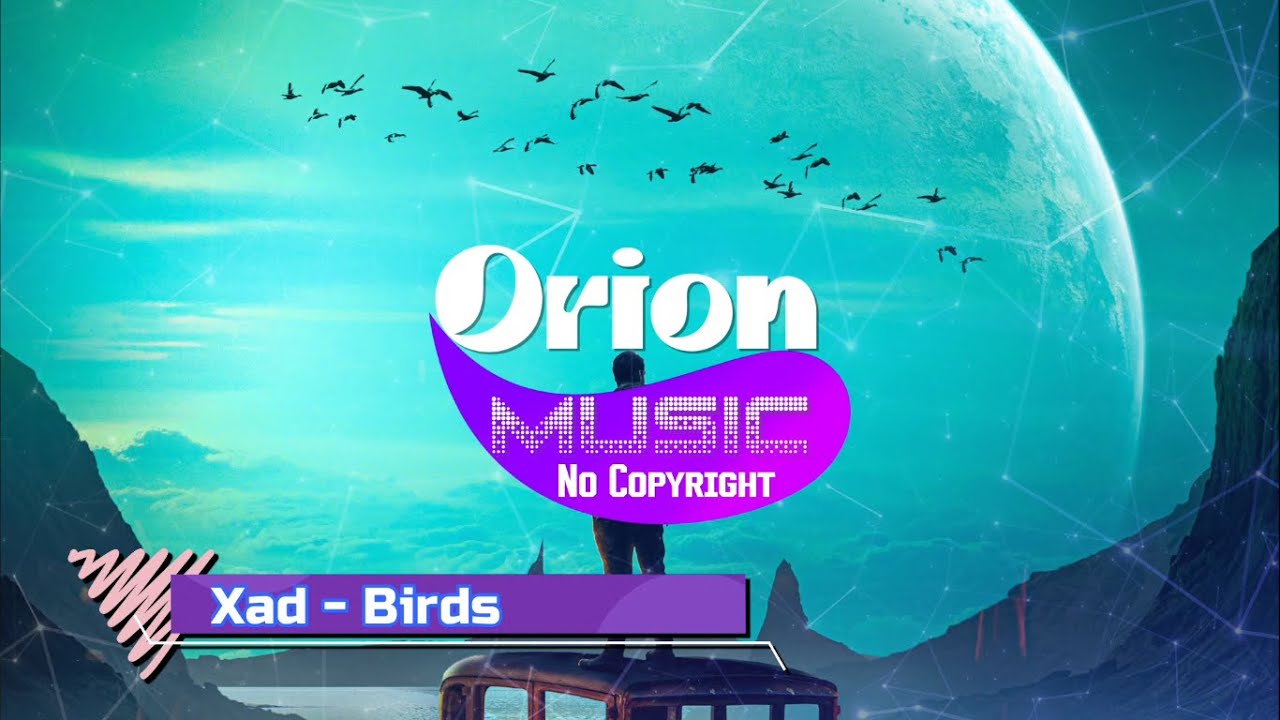 Xad - Birds [Orion Music No©] HD - YouTube