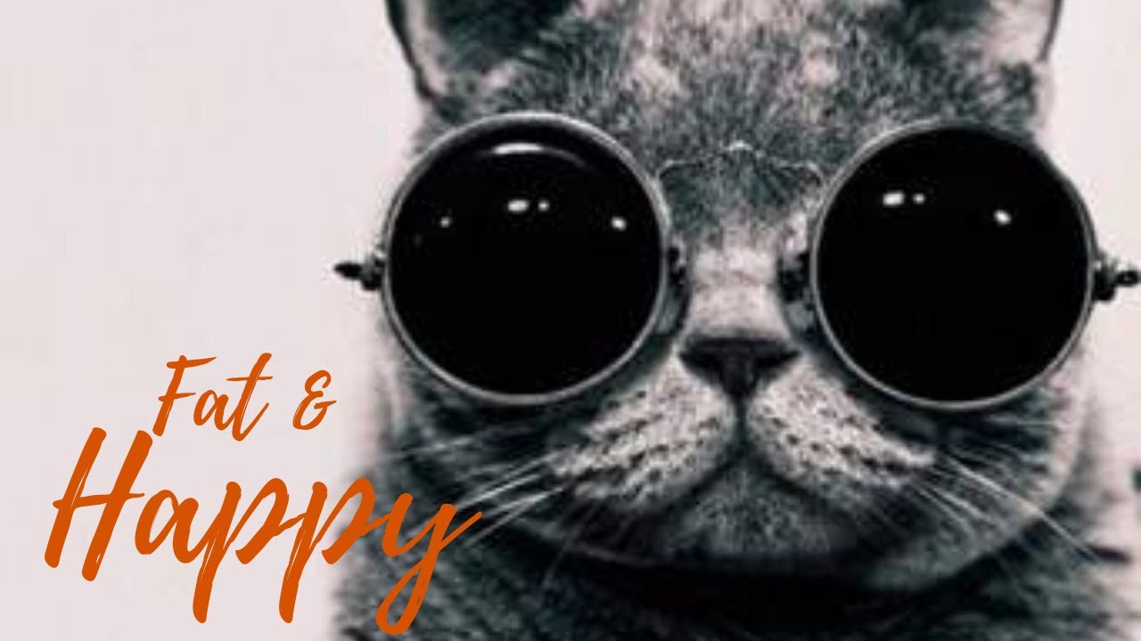 Tap & Yap Official Fat and Happy Lyric Video - YouTube